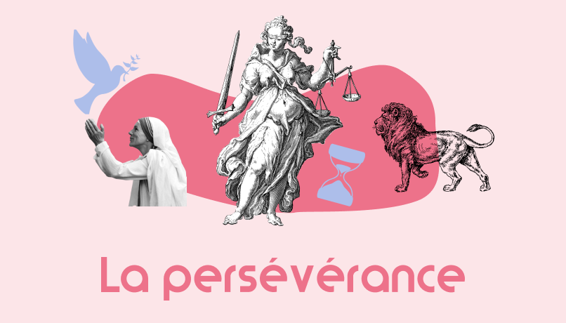 Meilleurs livres sur la Persévérance pour enfant de 12 à 14 ans - Verty
